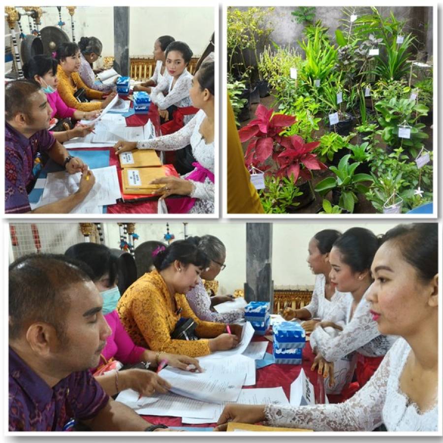 Penilaian Lomba Toga Tingkat Kabupaten Buleleng Tahun 2019 di Desa ...